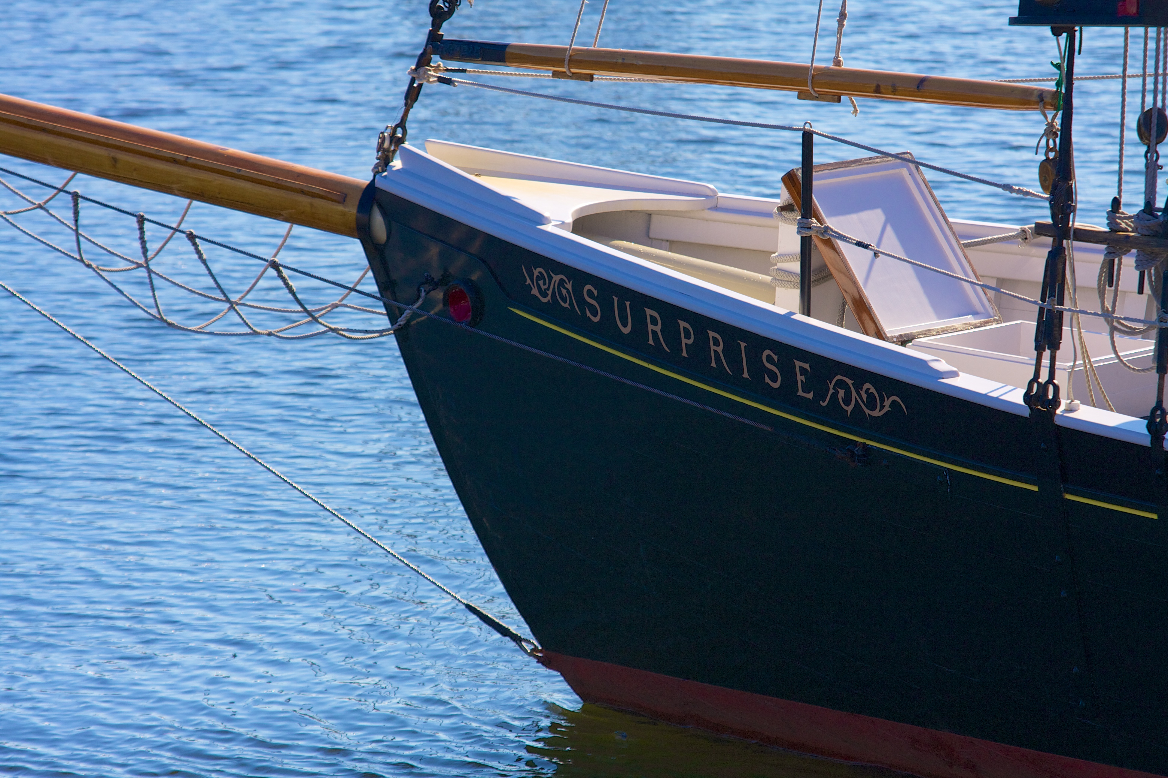 Surprise Bow - Sail Anjacaa